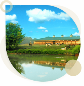 About - Southern Cross Guest Ranch